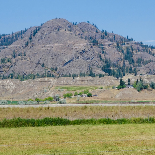 Monte Creek Ranch winery: Lions head, cowboys and wine - styledrama